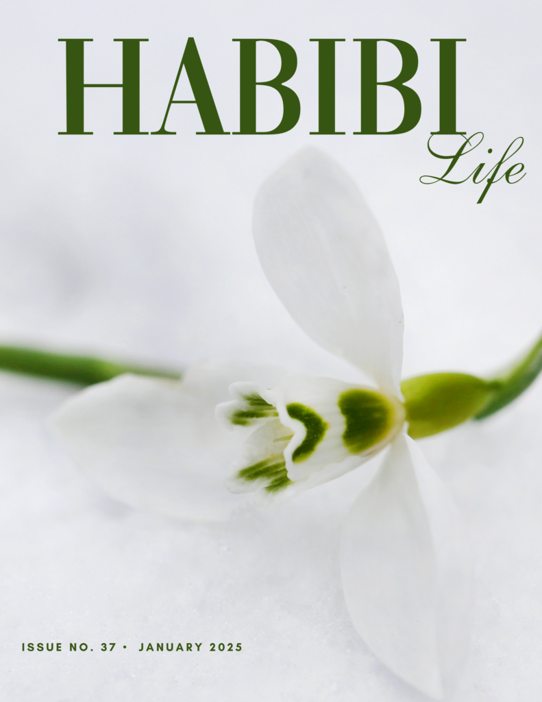 HABIBI LIFE: January 2025 - Habibi Sport